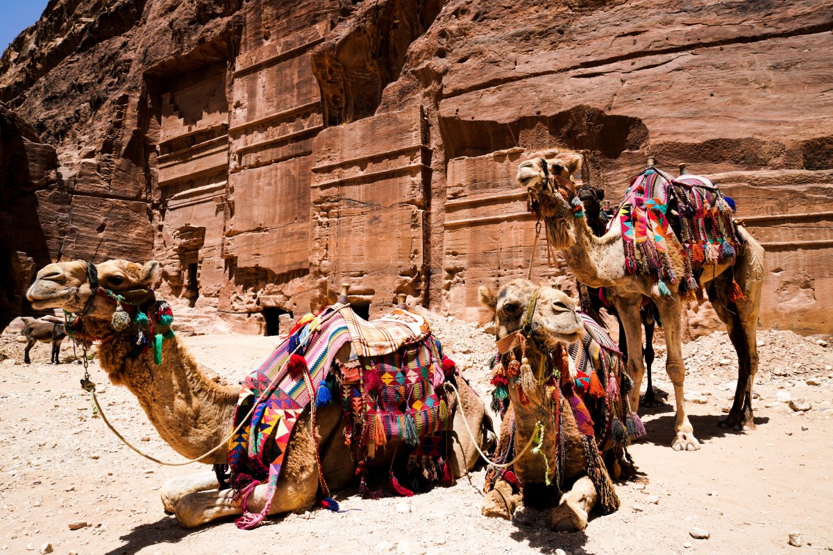 Petra-fied! – THE ODD ODYSSEY